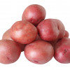 Red Variety | Associated Potato Growers Inc